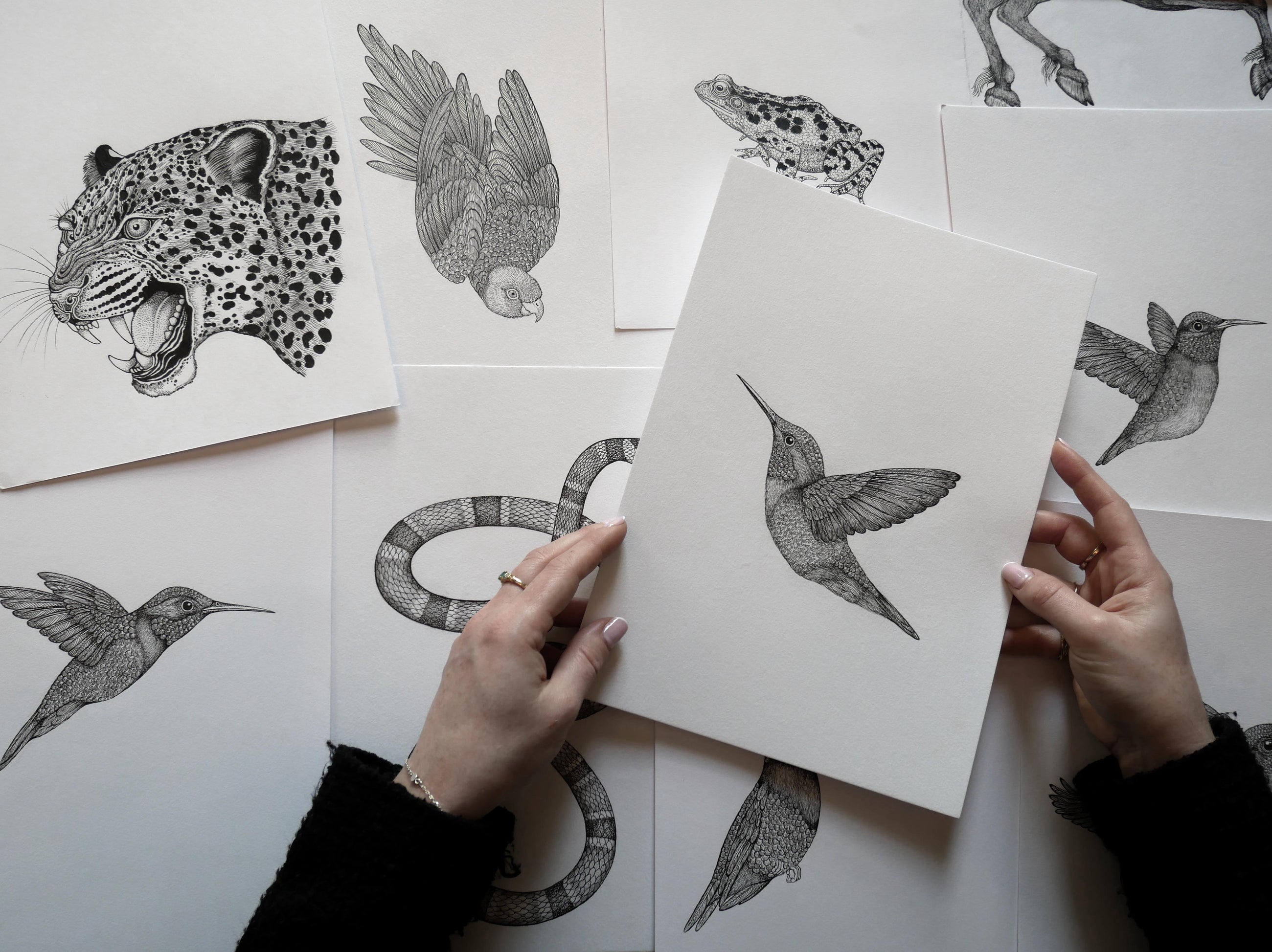 Emily Carter | Print & Pattern Archive