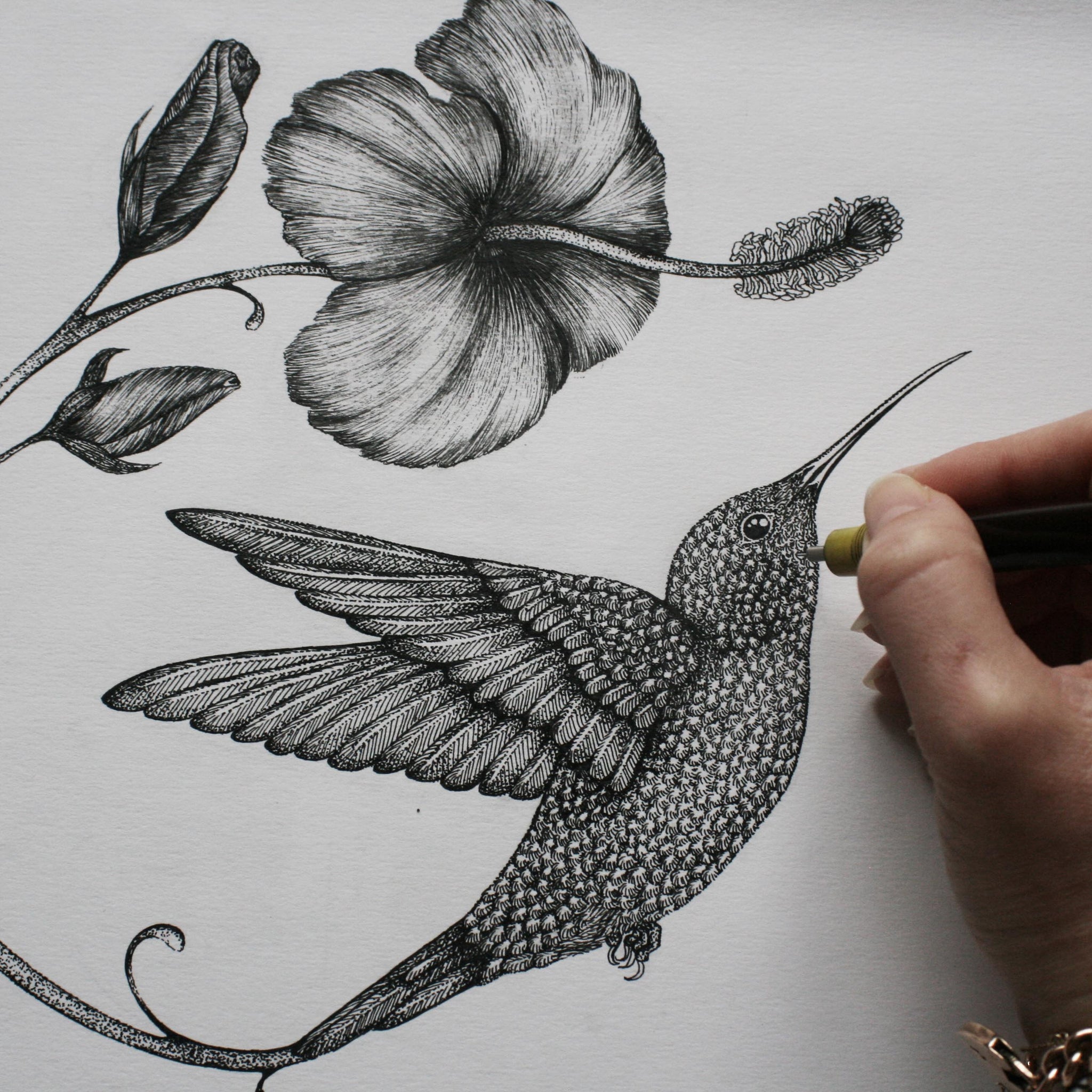 'Hummingbird & Hibiscus' Fine Art Print – Emily Carter London