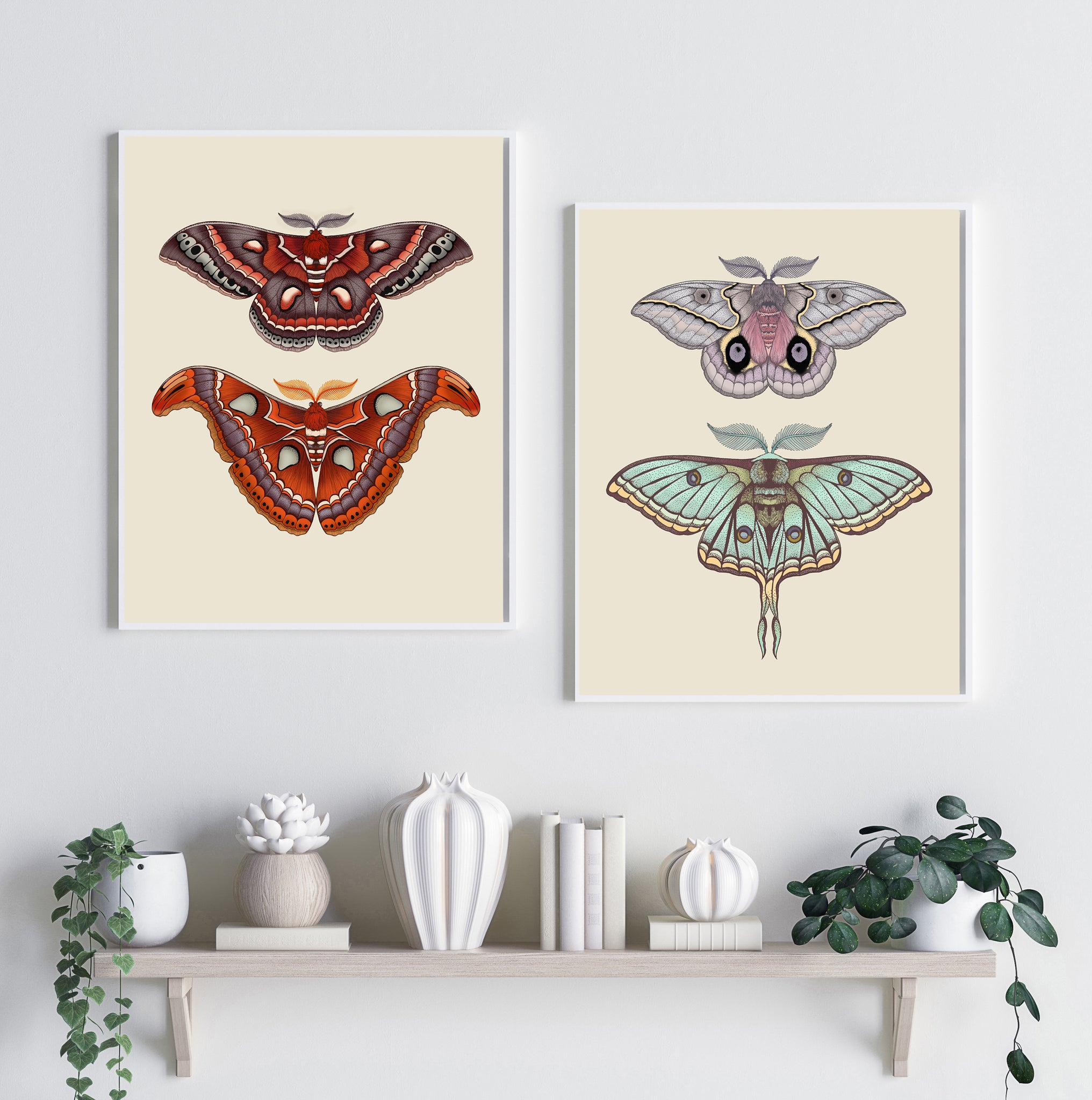 'Antique Luna & Automeris Frankae Moths' Fine Art Print – Emily Carter ...