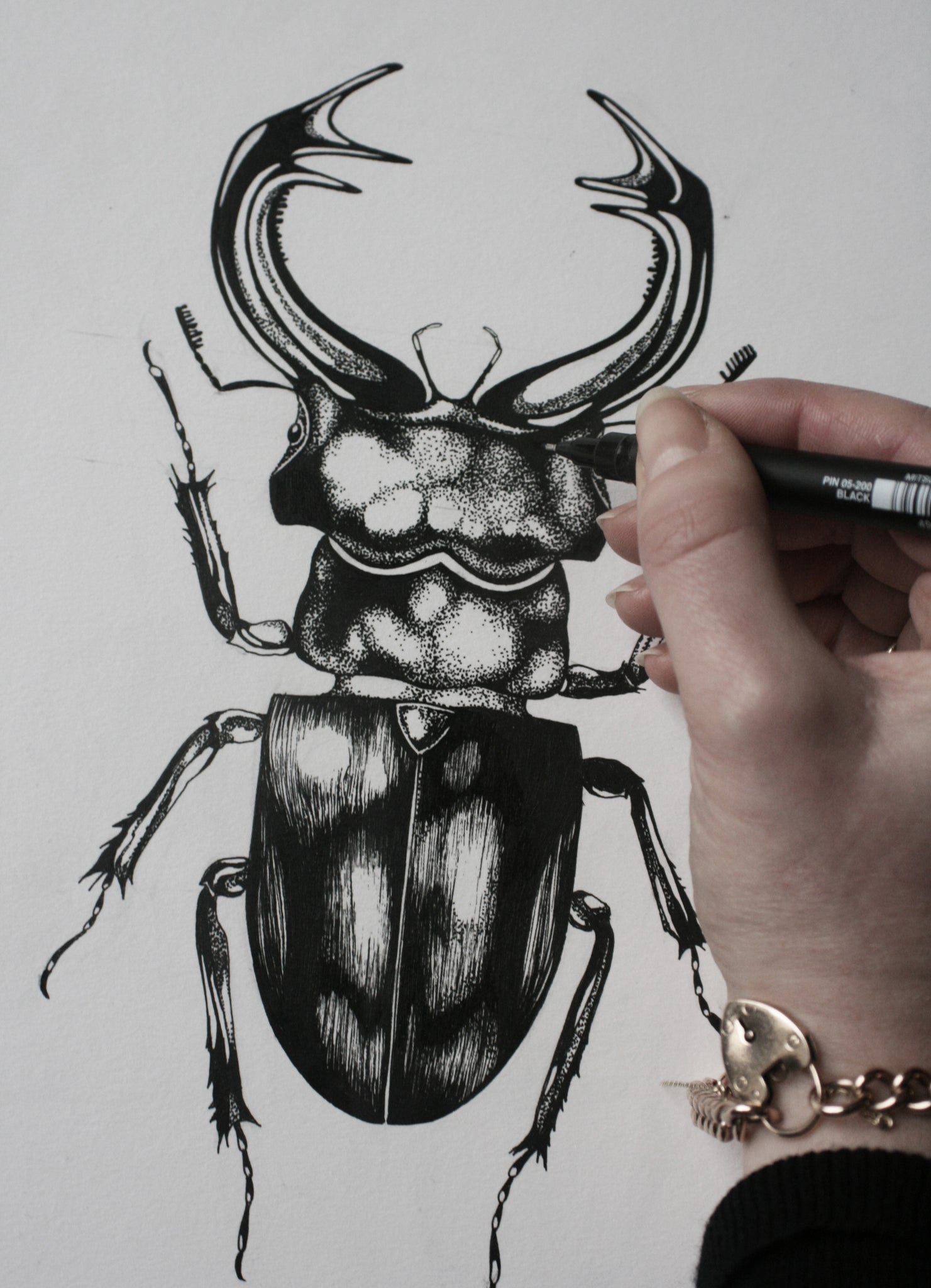 'The Stag Beetle' Fine Art Print – Emily Carter London