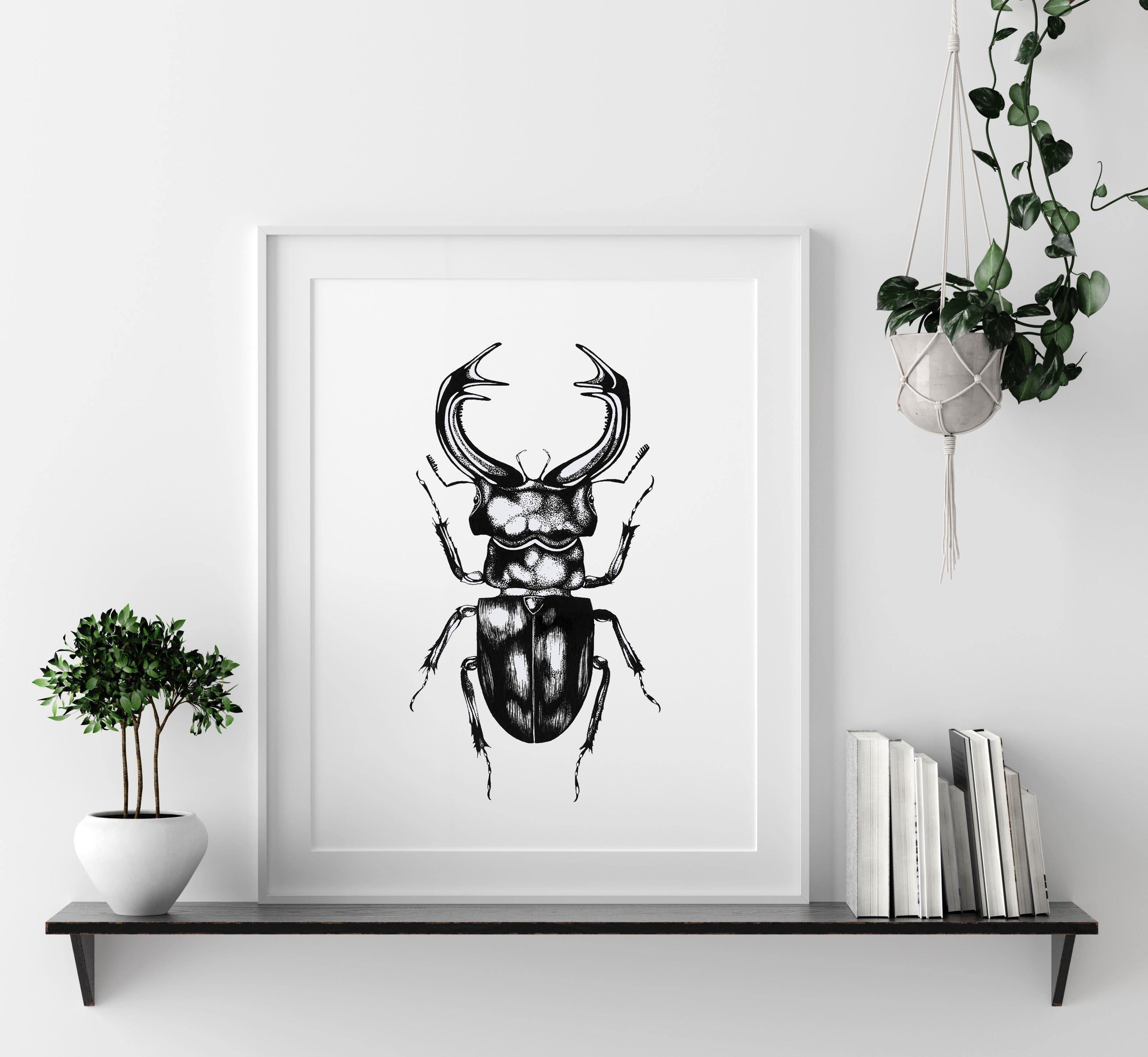 'The Stag Beetle' Fine Art Print